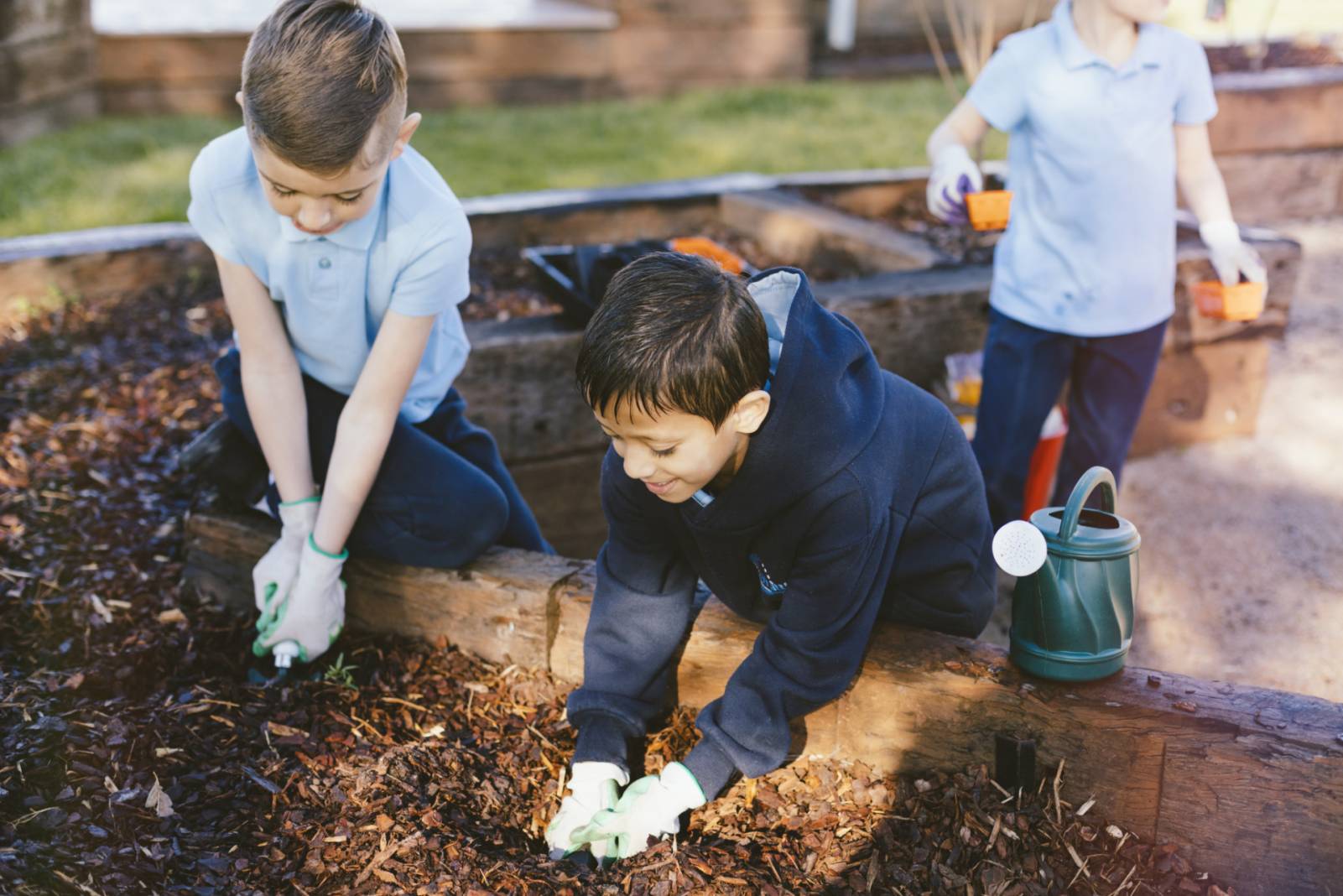 Whittington PS - Whittington PS